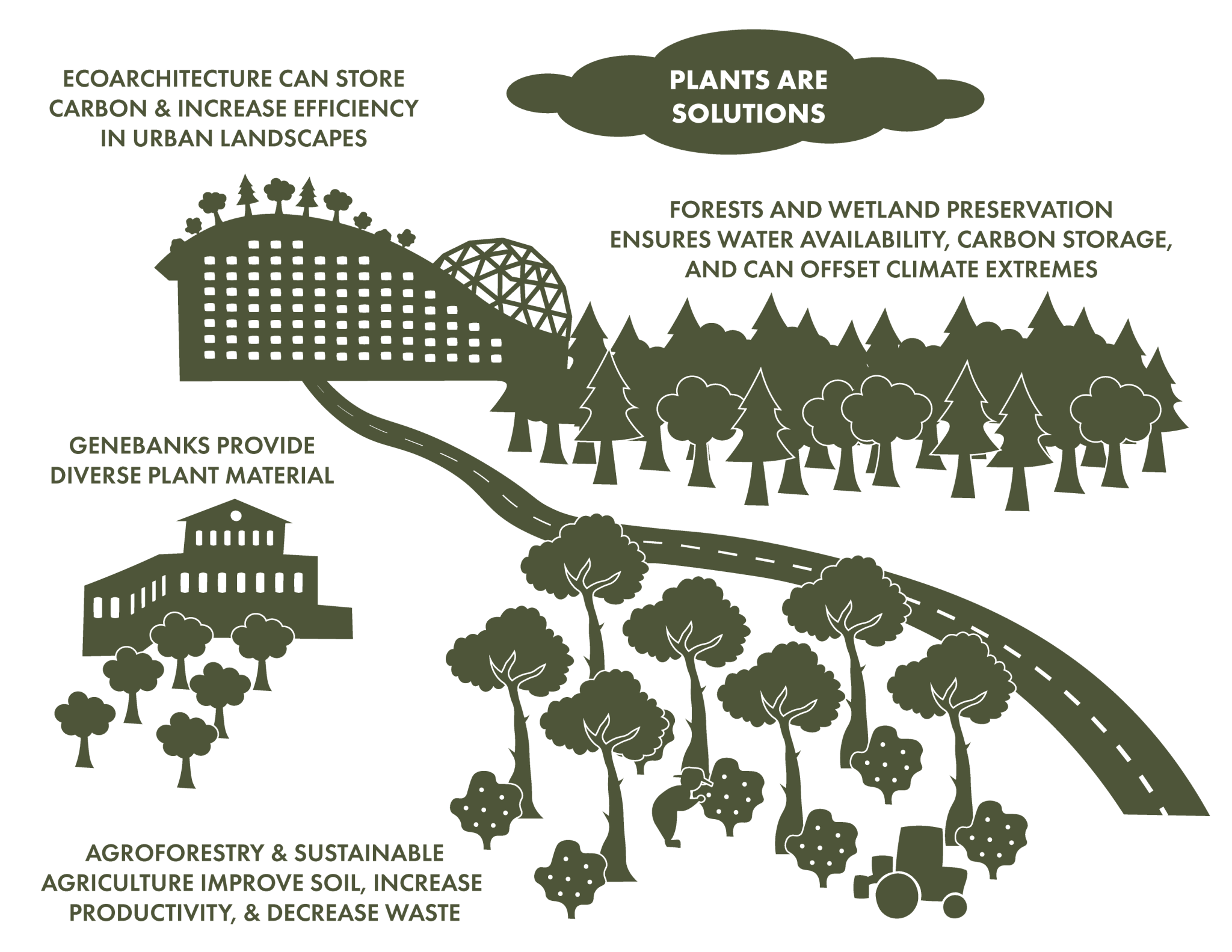 Importance of plants for mitigating and adapting to the effects of ...